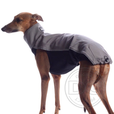 windhonden jassen l kleding voor je windhond