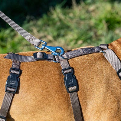 Windhonden tuig - veiligheidstuig hond - anti ontsnappingstuig