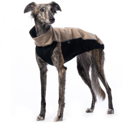 Windhonden jassen l hoge kwaliteits jassen voor windhonden