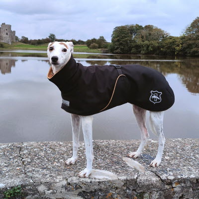 windhonden jassen l kleding voor je windhond
