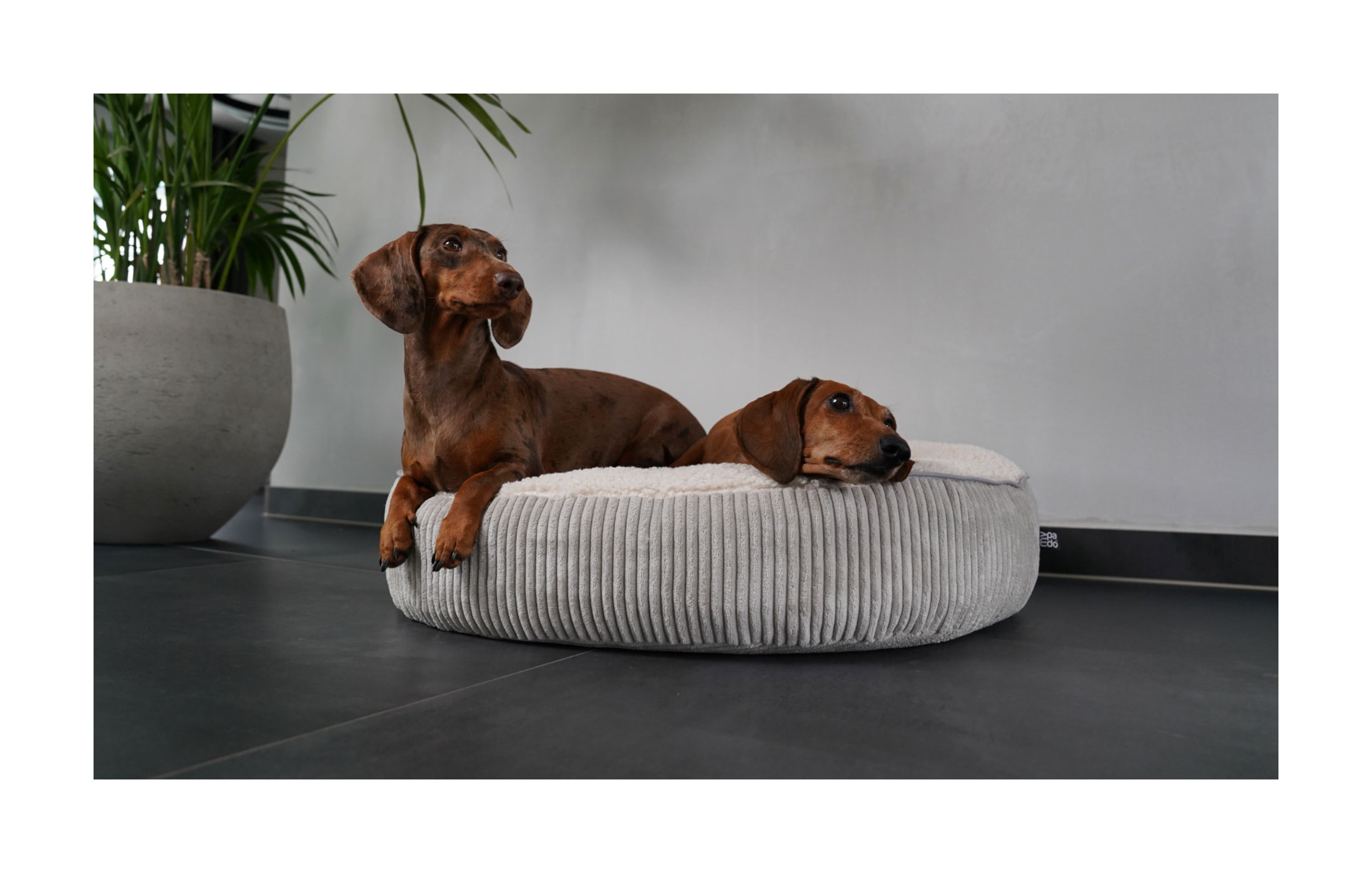 hondenmand cave - cosy cave hondencave l Om heerlijk in weg te kruipen!